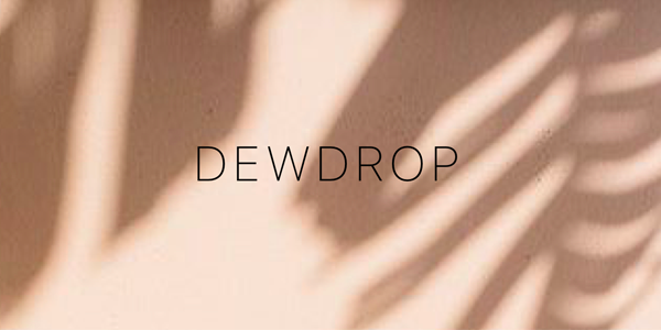 Dewdrop Designs – Joy Journey